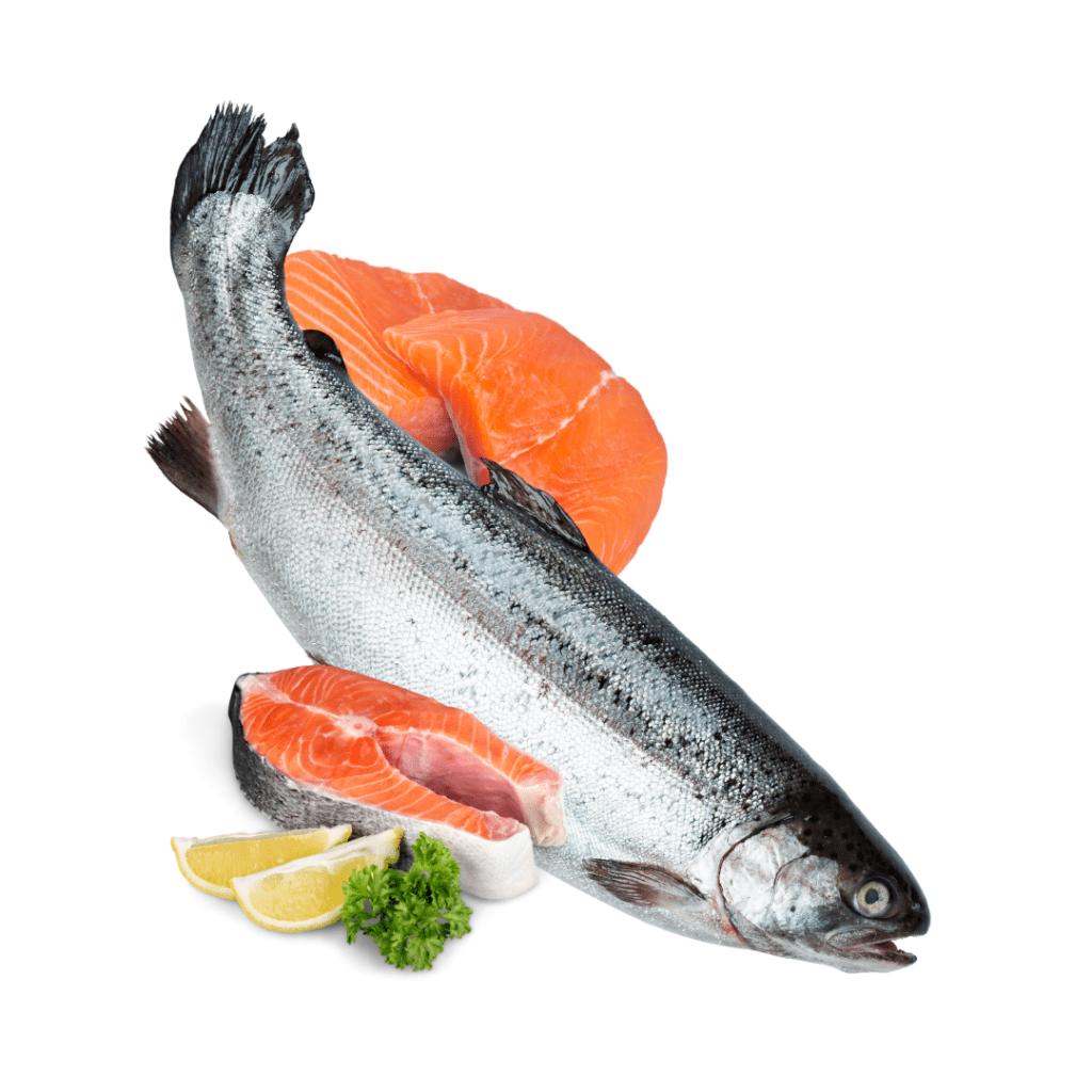 Supplier Ikan Segar Fillet & Frozen | Cahaya Putera Sejati